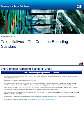 COMMON REPORTING STANDARD (CRS) - France